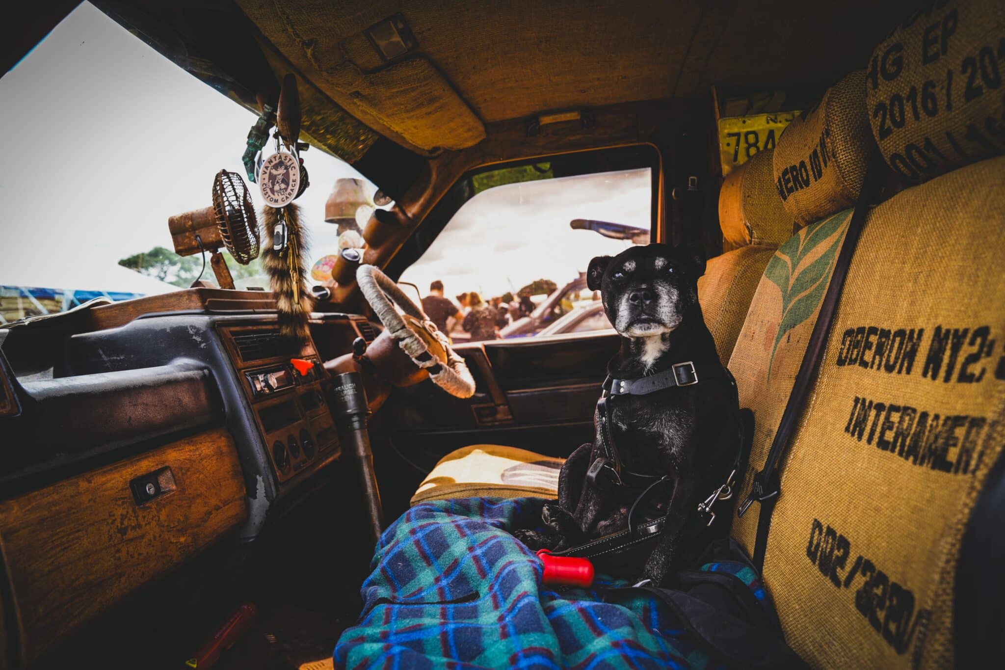 News - Dubbed Out Festival